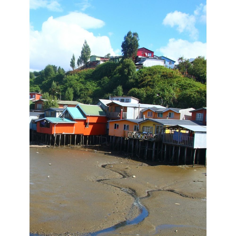 VIVENDO EM PALAFITAS - urbanarts