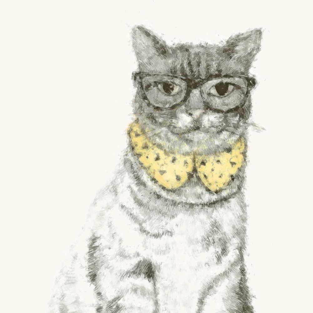 NERD CAT - urbanarts