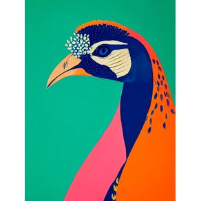 PAVÃO COLORIDO 06 - urbanarts