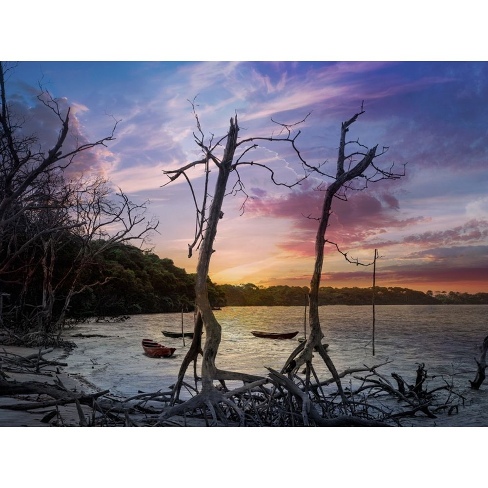 MACAPAZ MANGUE VIEW - urbanarts