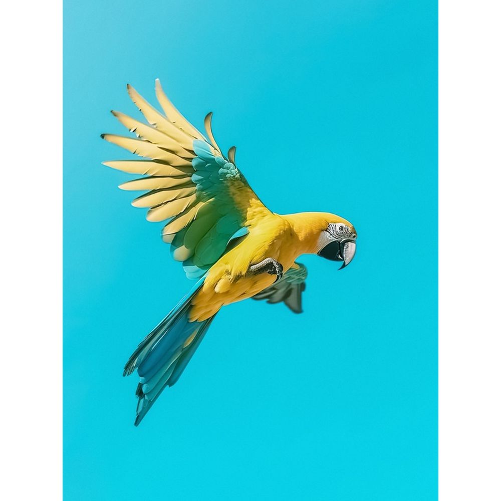 ARARA VOANDO 05 BY AI - urbanarts