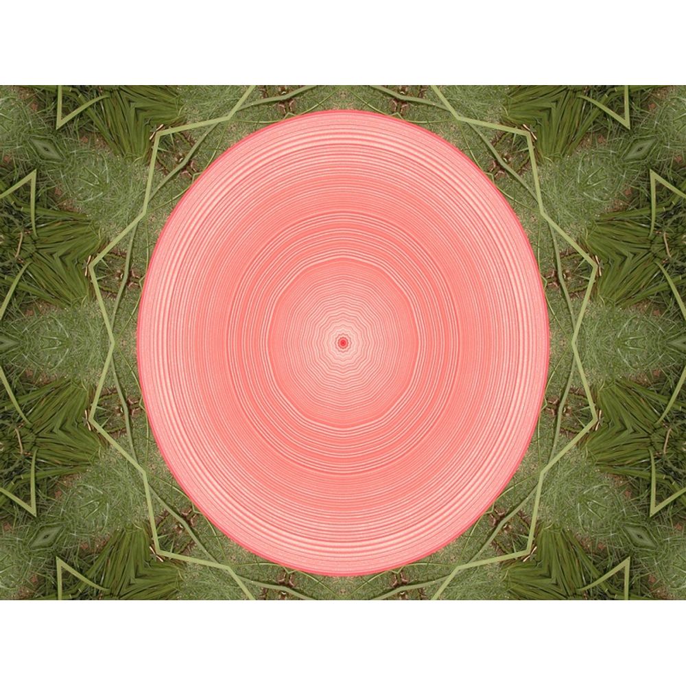 STAR DISC - urbanarts