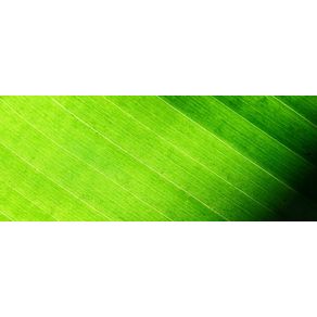 VERDE LUMINOSO TRÍPTICO 2 - urbanarts