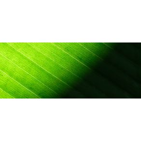 VERDE LUMINOSO TRÍPTICO 3 - urbanarts