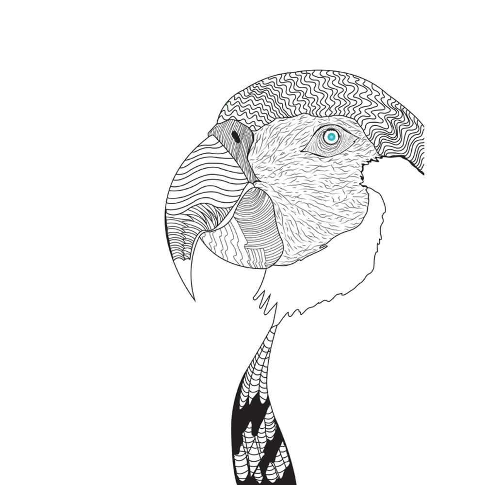 SKETCH ARARA - urbanarts